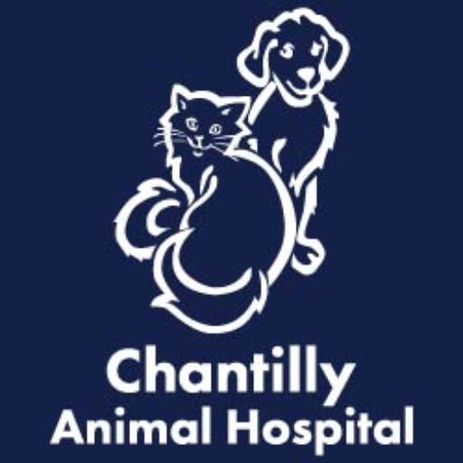 Chantilly Animal Hospital - Serving the Northern Virginia area